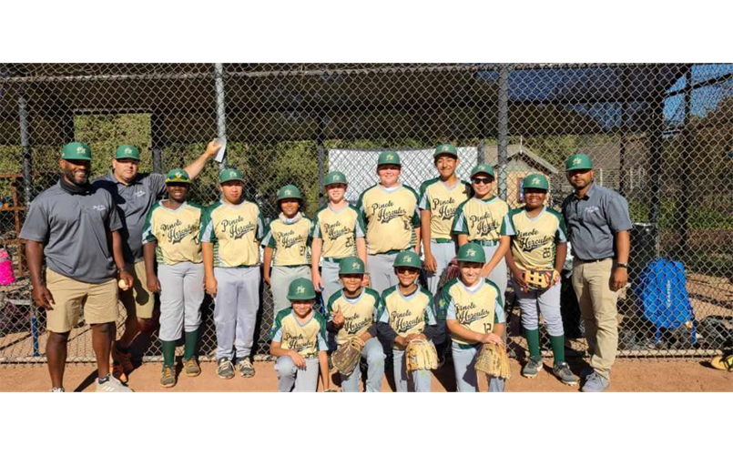 Pinole Hercules Little League > Home